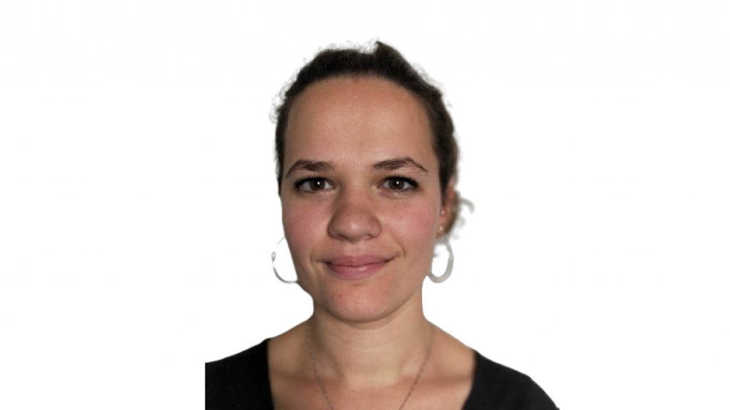 FPGA engineer: description & job opportunities - ELSYS Design